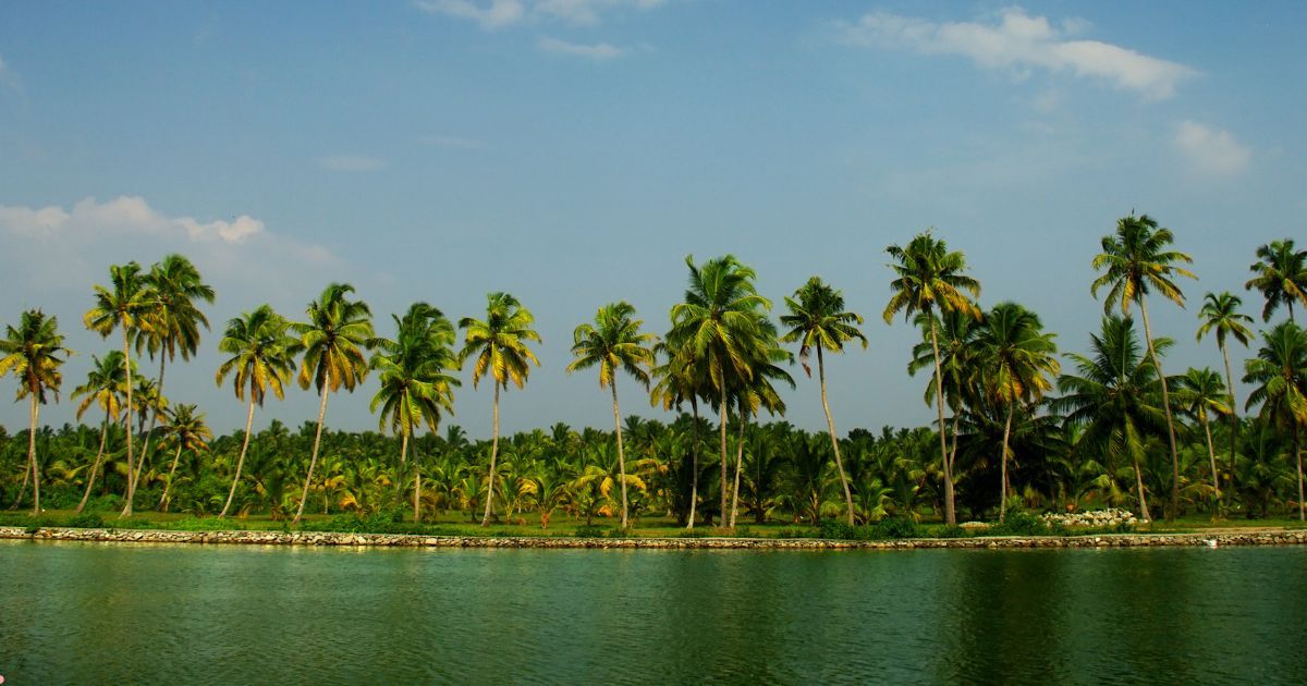 15 days rainfall forecast for all the cities and states of India